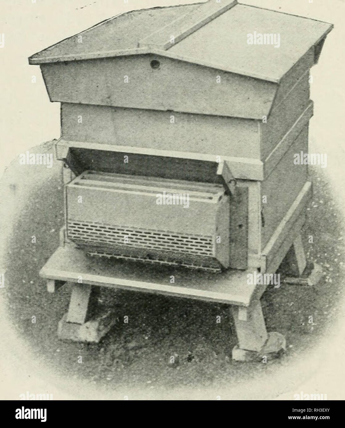 . British bee-keeper's guide book to the management of bees in movable ...