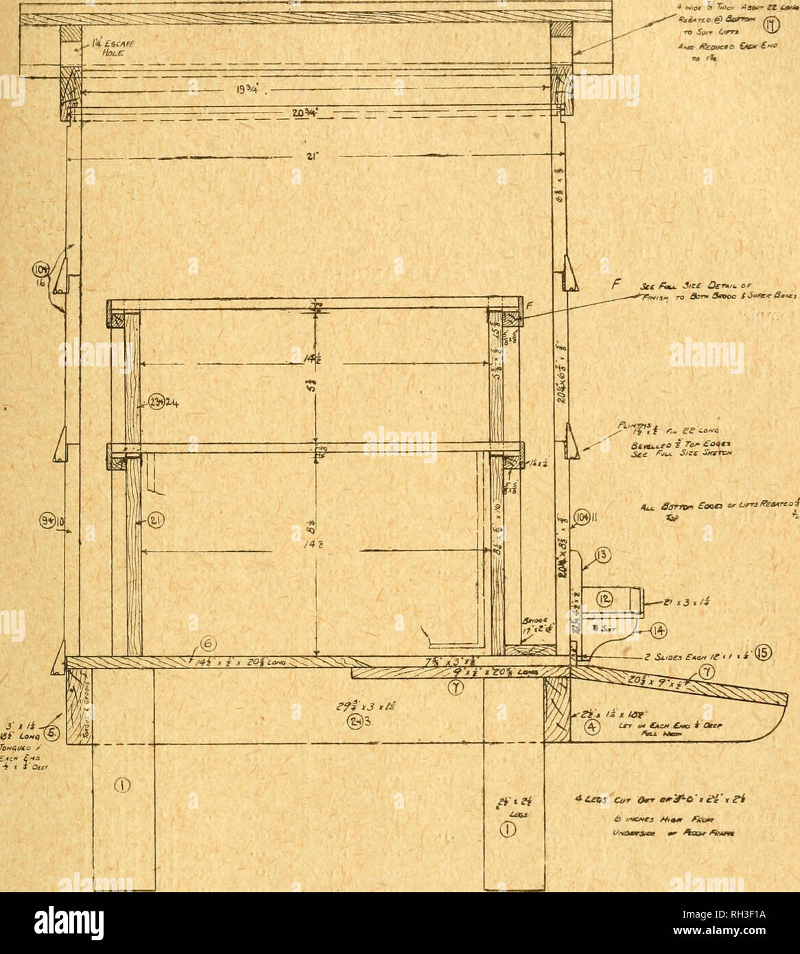 . British bee journal & bee-keepers adviser. Bees. April 12,1917. THE ...