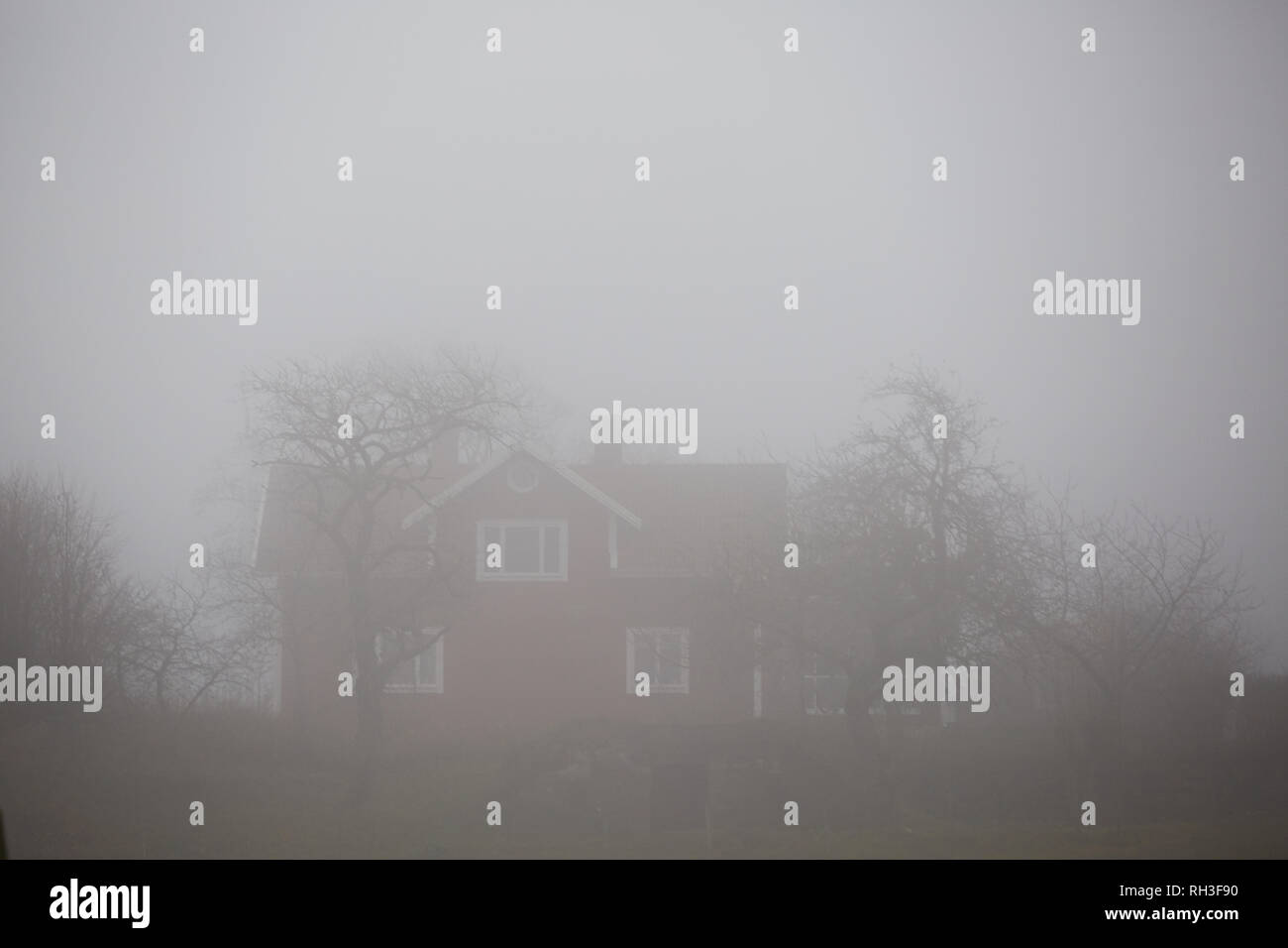 Building and trees in fog Stock Photo - Alamy