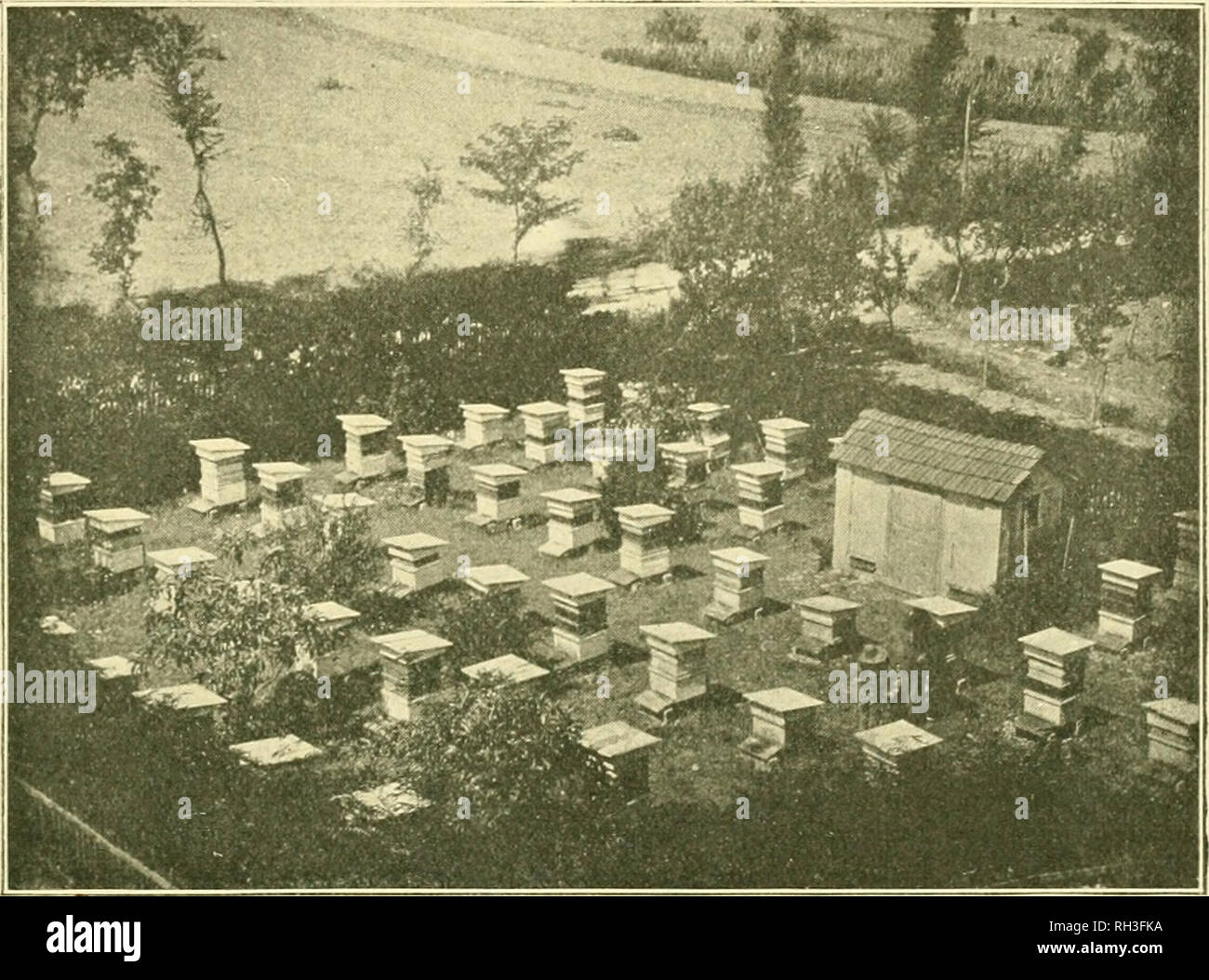 The british bee hive 1867 hi-res stock photography and images - Alamy