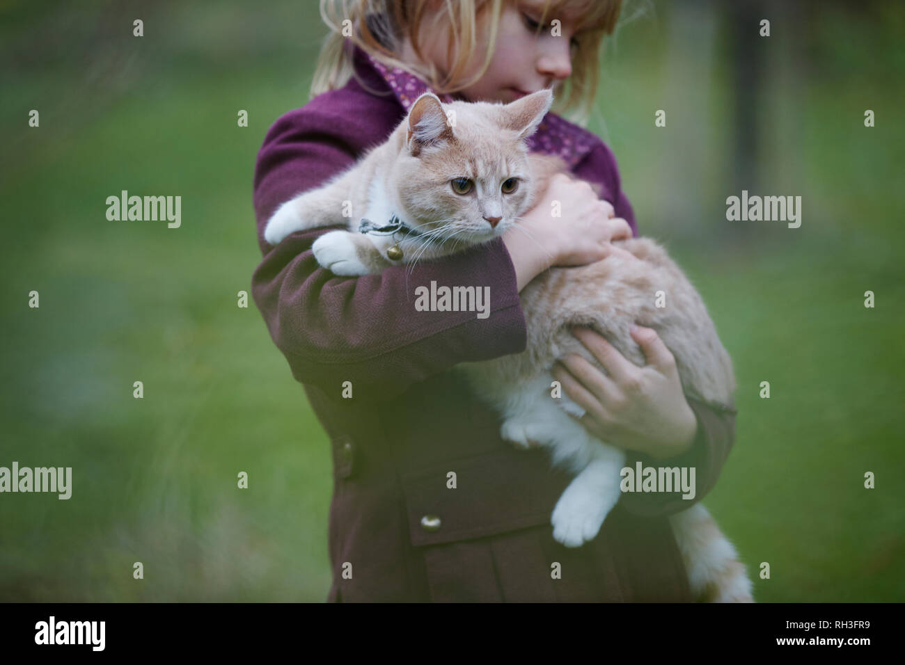 Girl with cat Stock Photo - Alamy