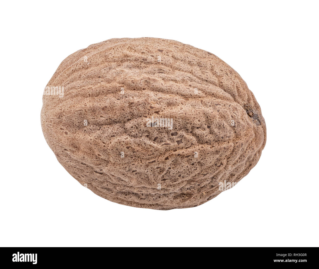 Dry nutmeg isolated on white background. Clipping path Stock Photo - Alamy