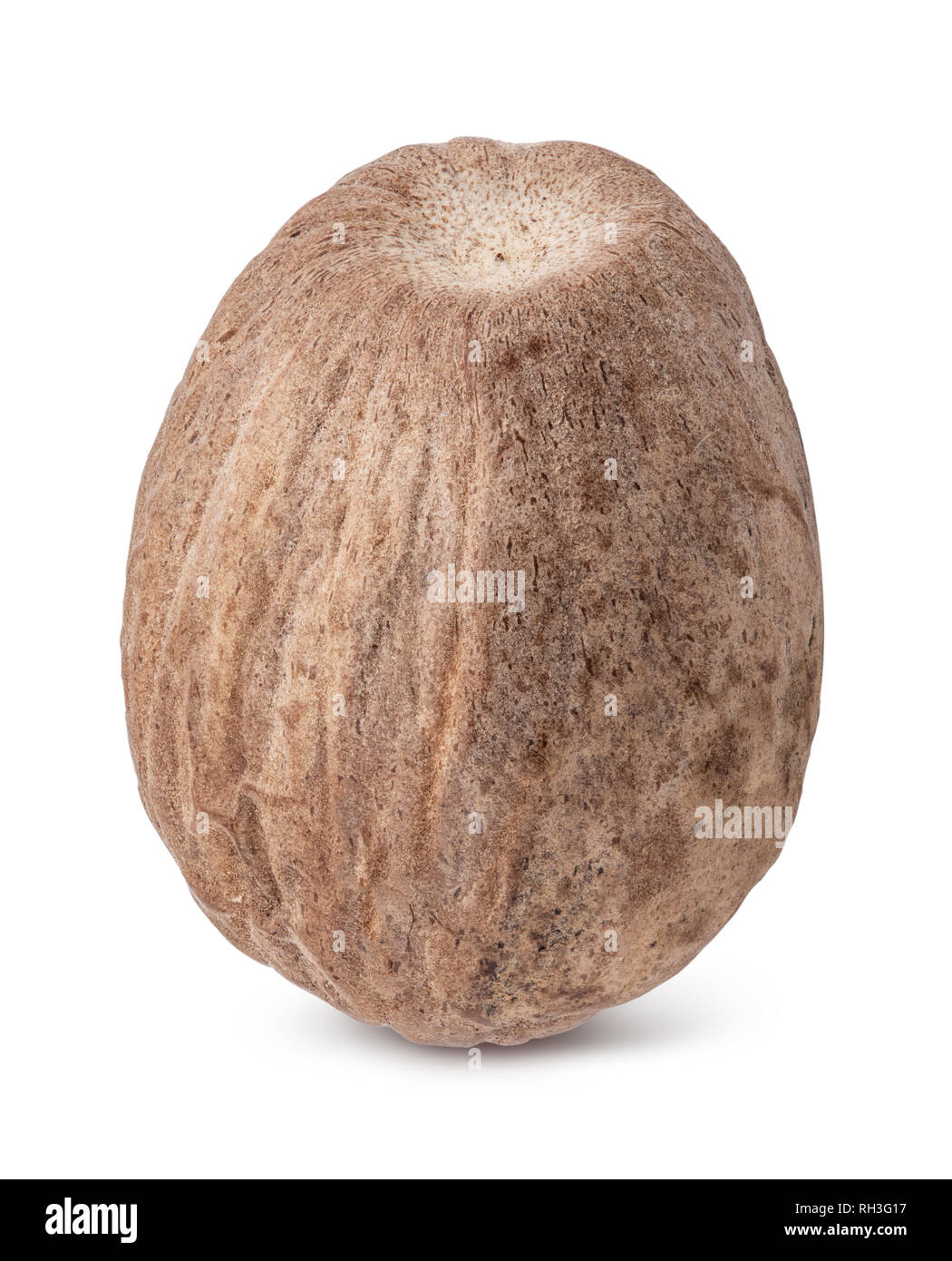 Dry nutmeg isolated on white background. Clipping path Stock Photo - Alamy