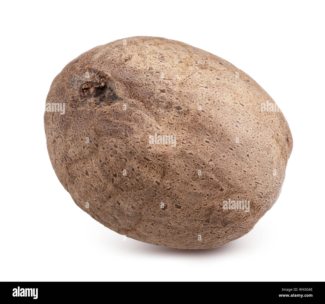 Dry nutmeg isolated on white background. Clipping path Stock Photo - Alamy