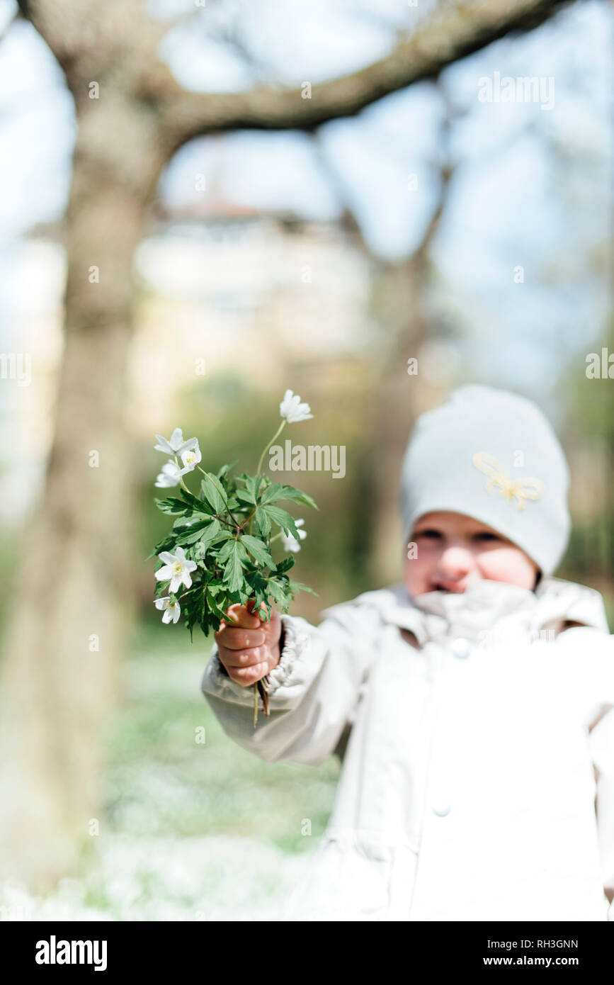 Girl holding anemones Stock Photo - Alamy