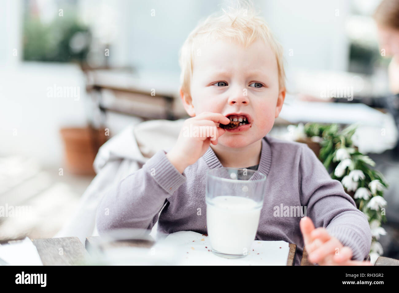 Girl eating chocolate cookie Stock Photo - Alamy