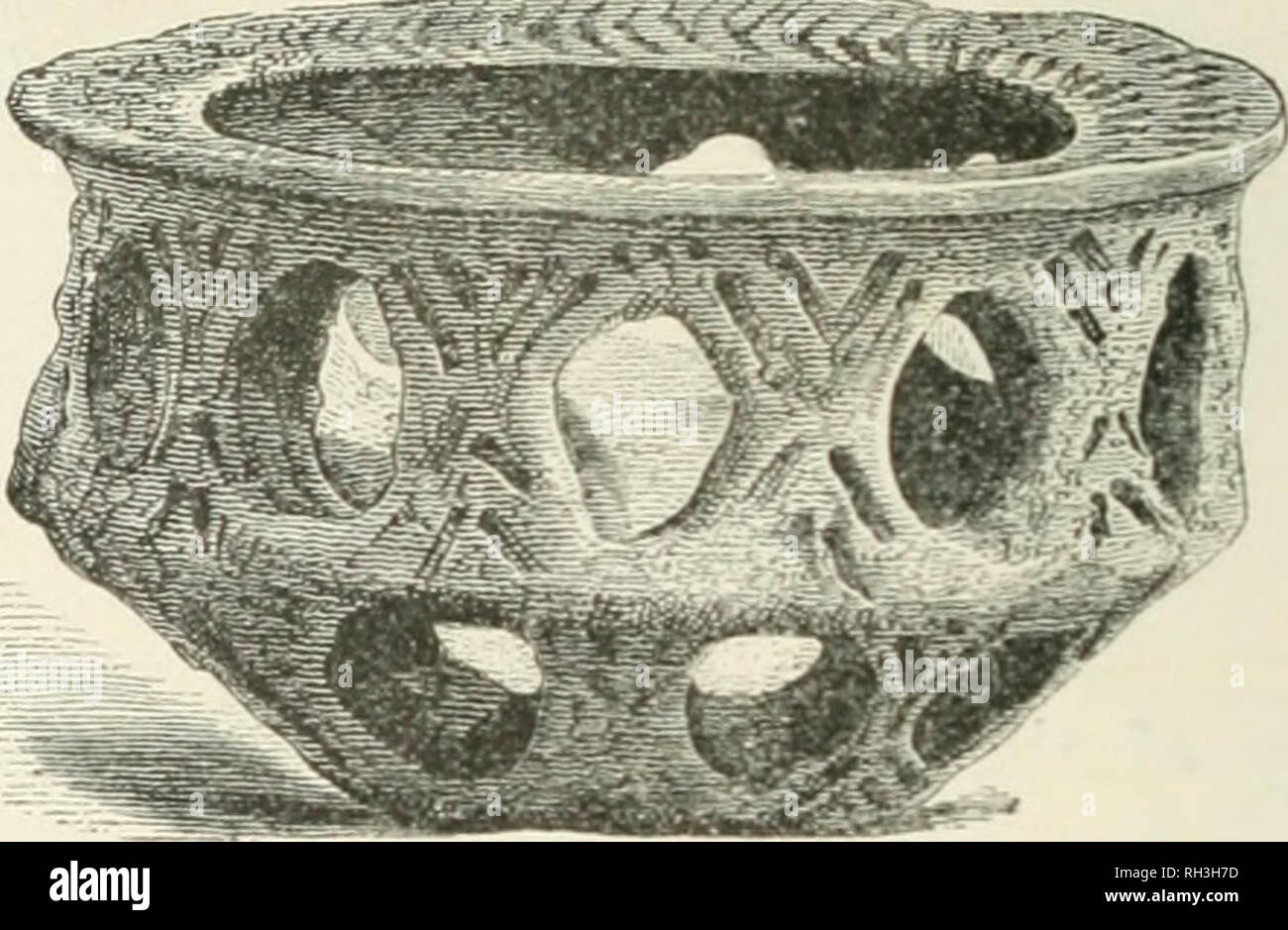 Two different side by side cups hi-res stock photography and images - Alamy