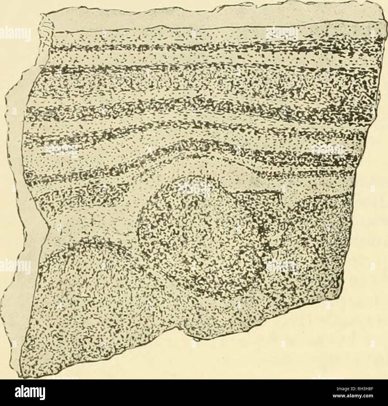 Inclusion Geology