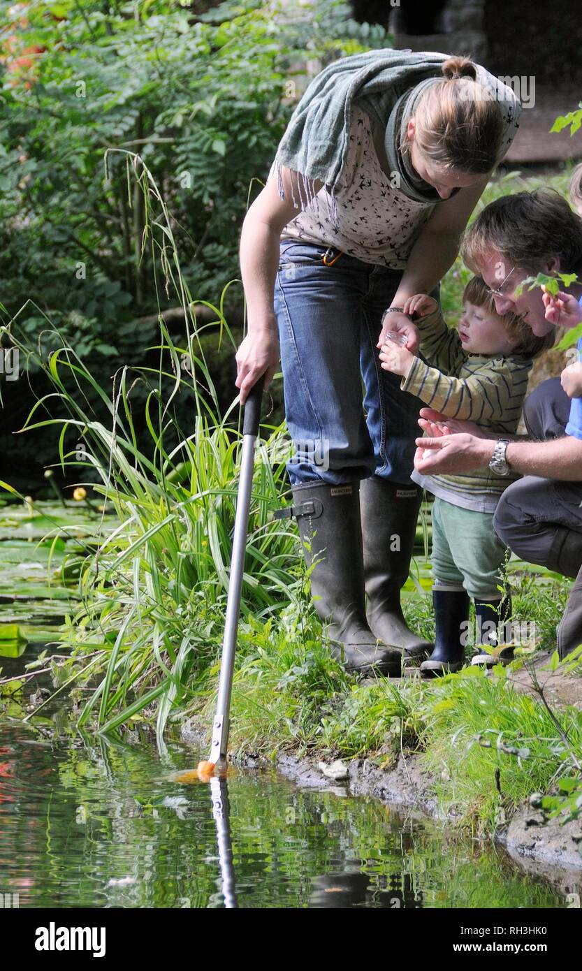 Family pond dipping and inspecting the catch during a Bioblitz, Abbot's ...
