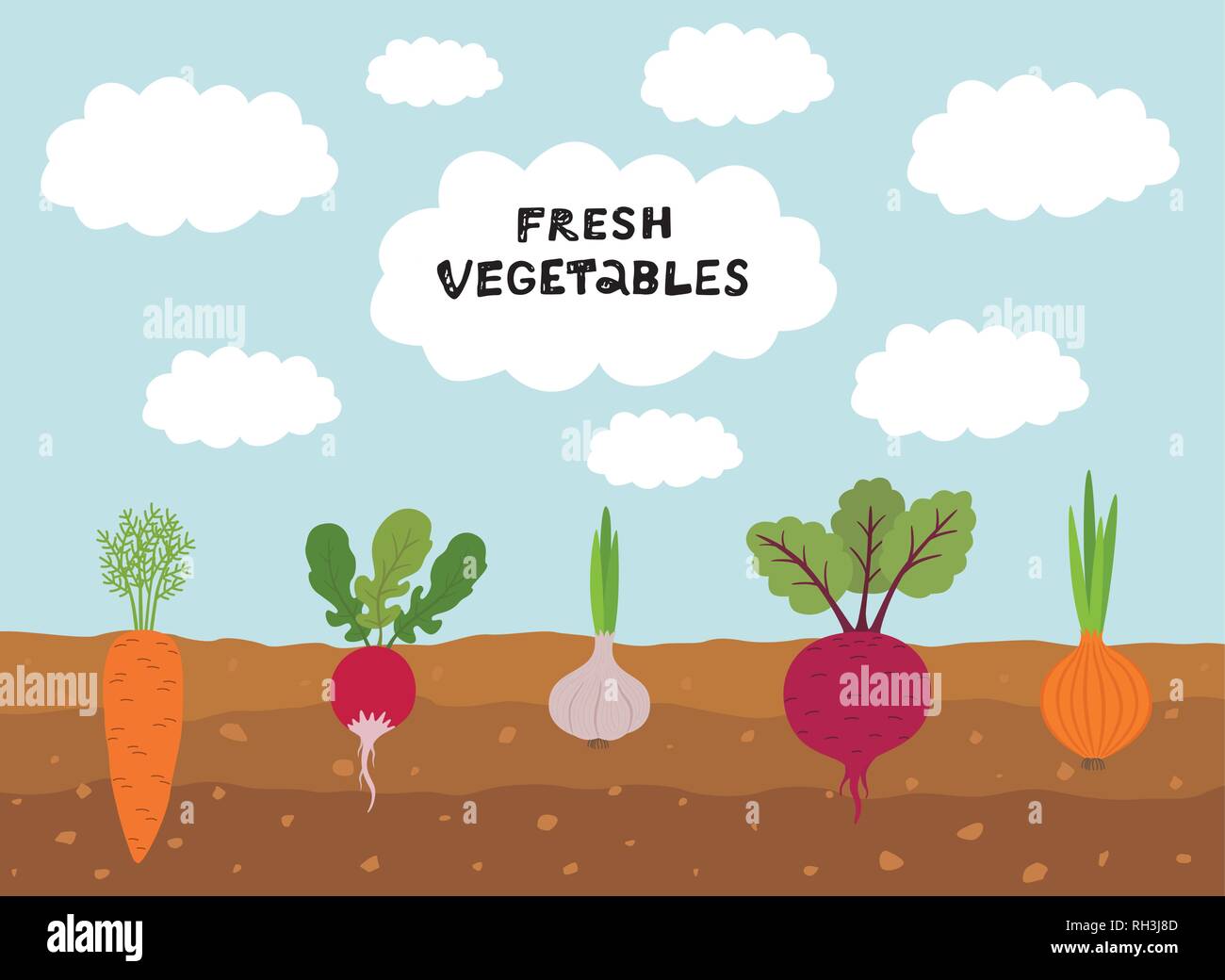 Radish onion garlic Stock Vector Images - Alamy