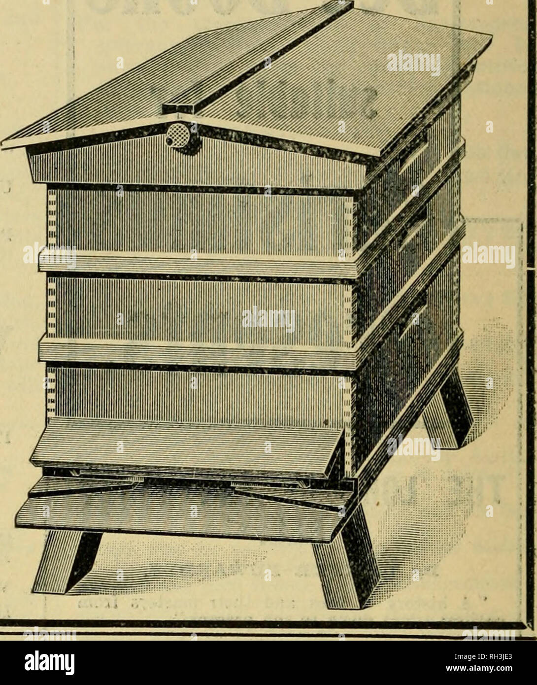 . British bee journal & bee-keepers adviser. Bees. IV THE BRITISH BEE ...