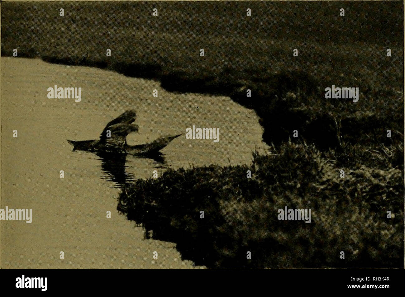 Miss hatch hi-res stock photography and images - Alamy