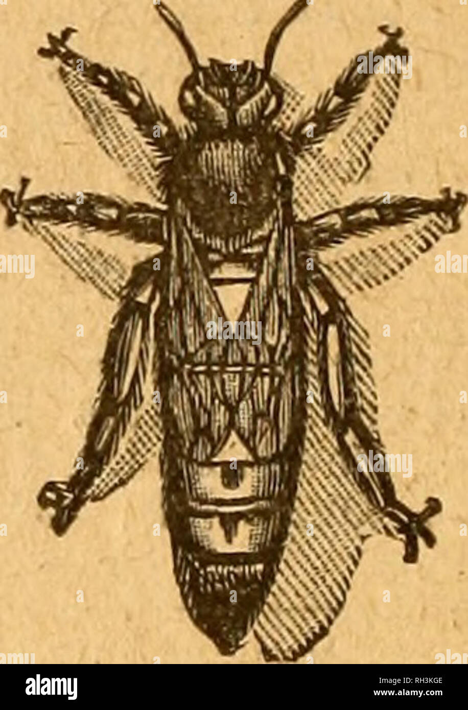 Purley cross hi-res stock photography and images - Alamy