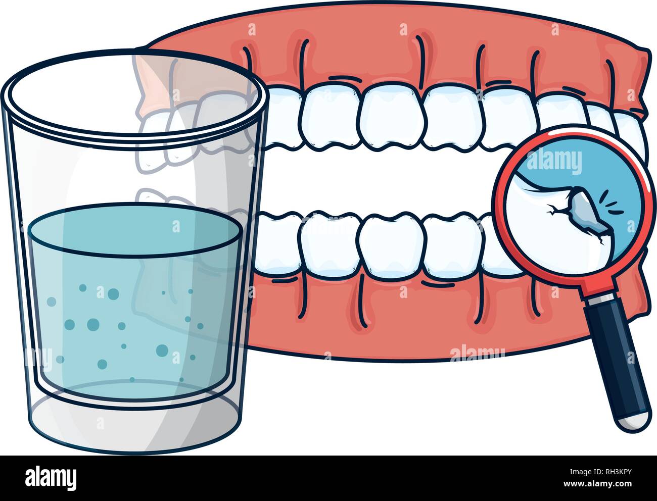 human teeth with water glass and magnifying glass Stock Vector Image ...