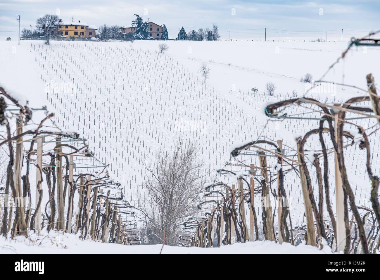 Padan plain. italy hi-res stock photography and images - Alamy
