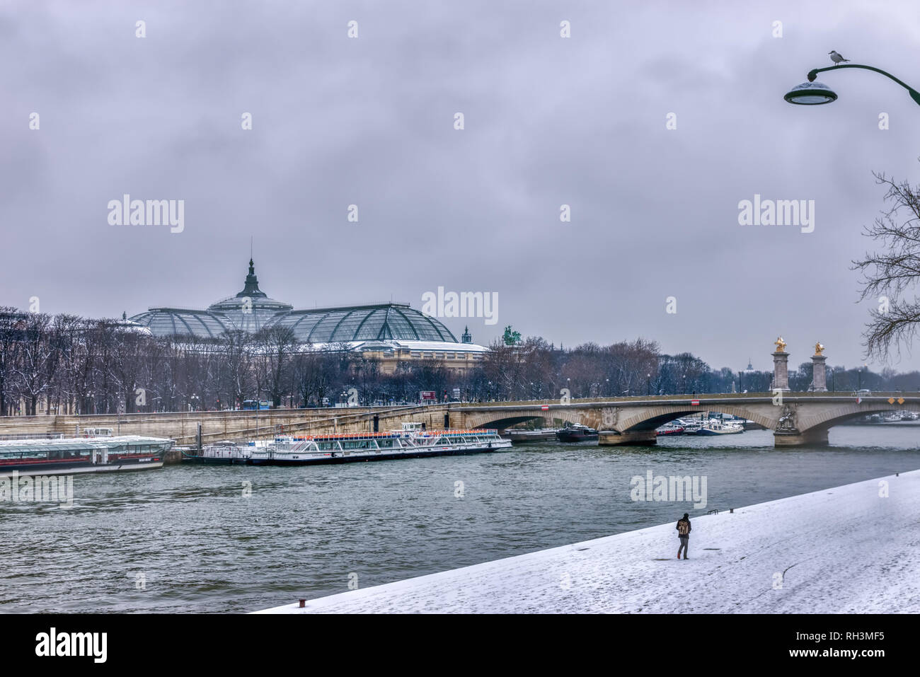 Grand palais paris winter hi-res stock photography and images - Alamy