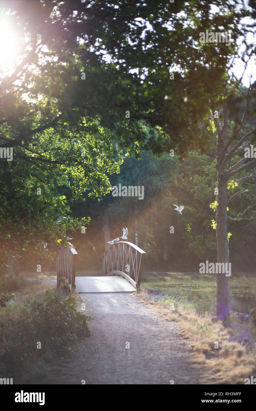 Summer Countryside Bridge, Sweden Stock Photo - Alamy