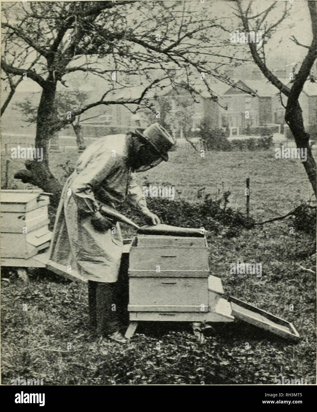 . British bee-keeper's guide book to the management of bees in movable ...