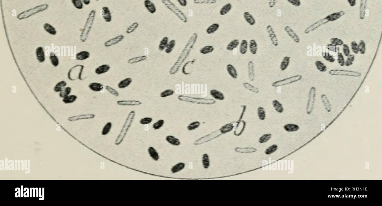 . British bee-keeper's guide book to the management of bees in movable ...