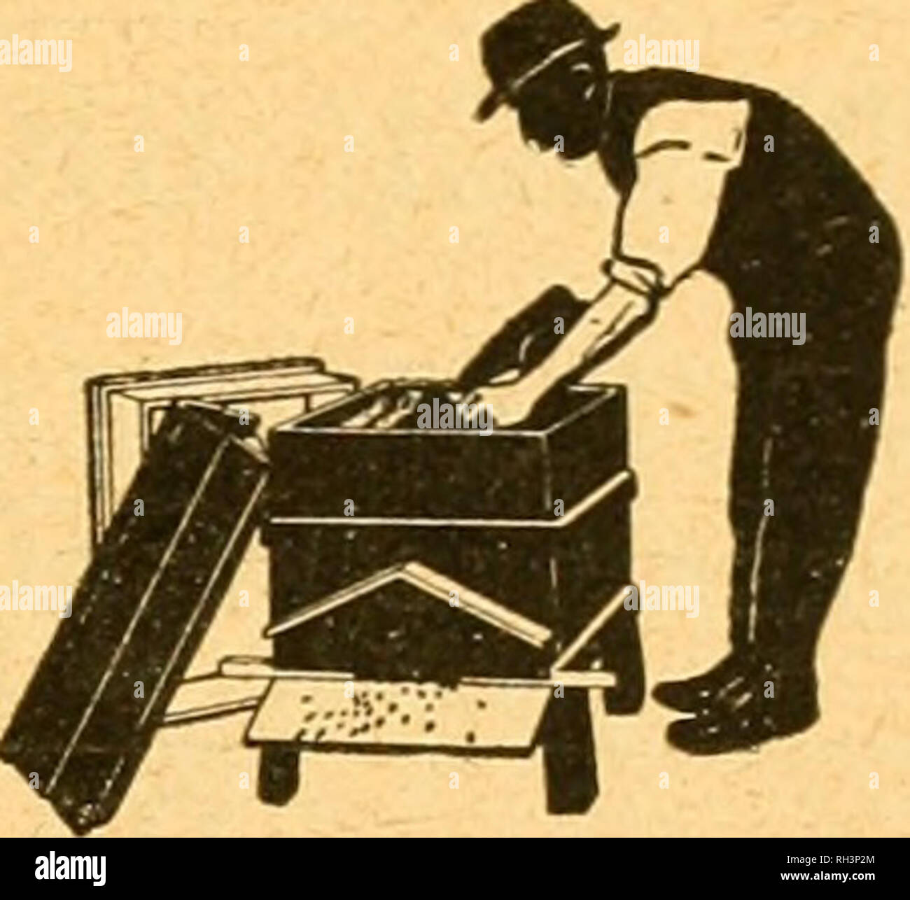 Bees swarms road hi-res stock photography and images - Alamy