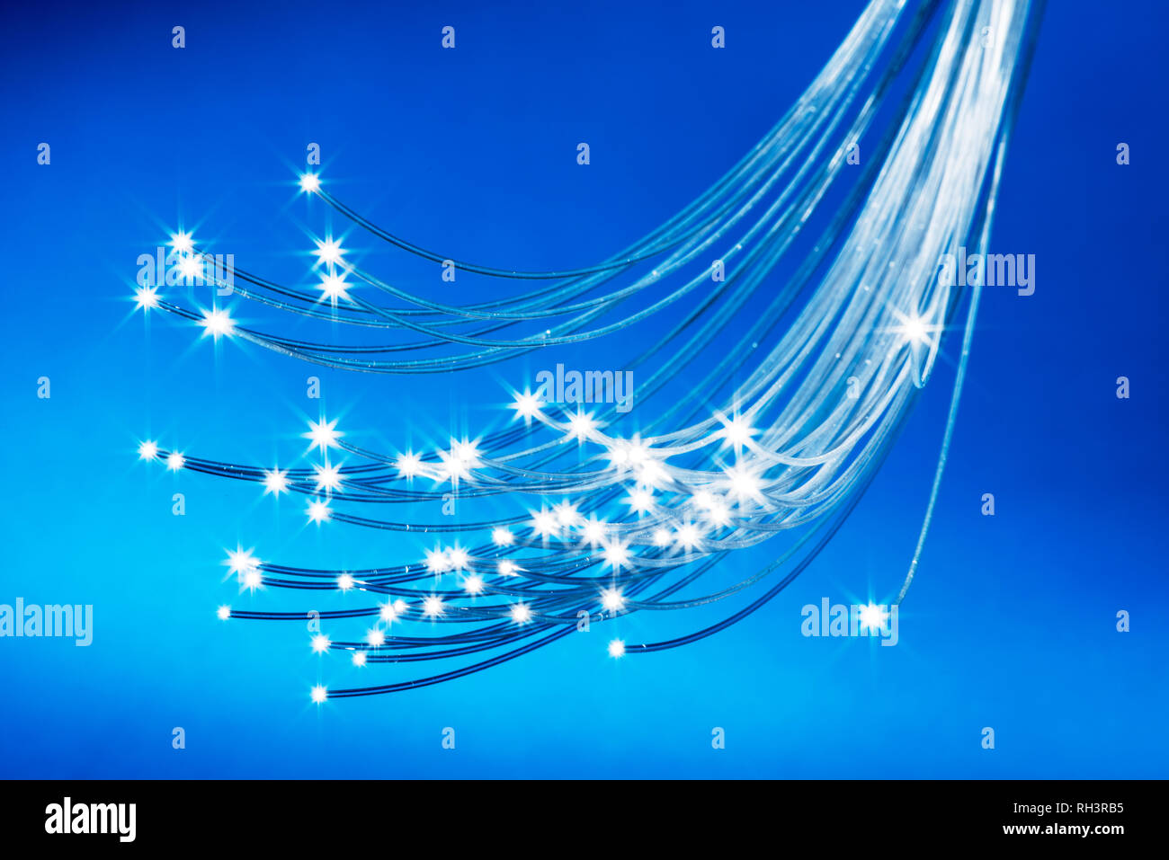 Bundle of optical fibers with lights in the ends. Blue background Stock ...