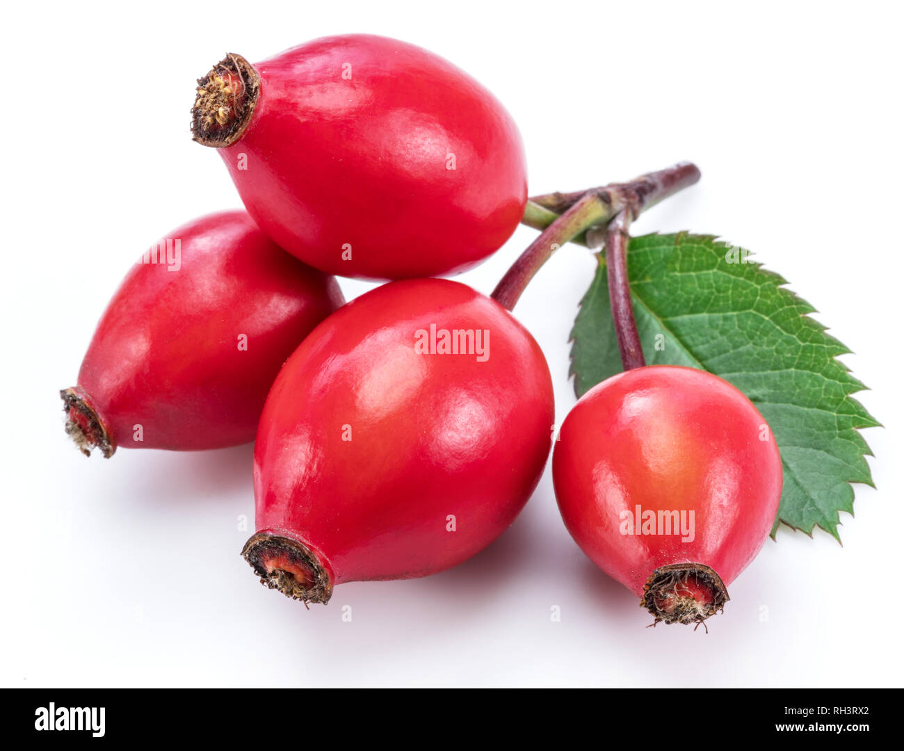 Rose-hips with rose leaves isolated on a white background Stock Photo ...
