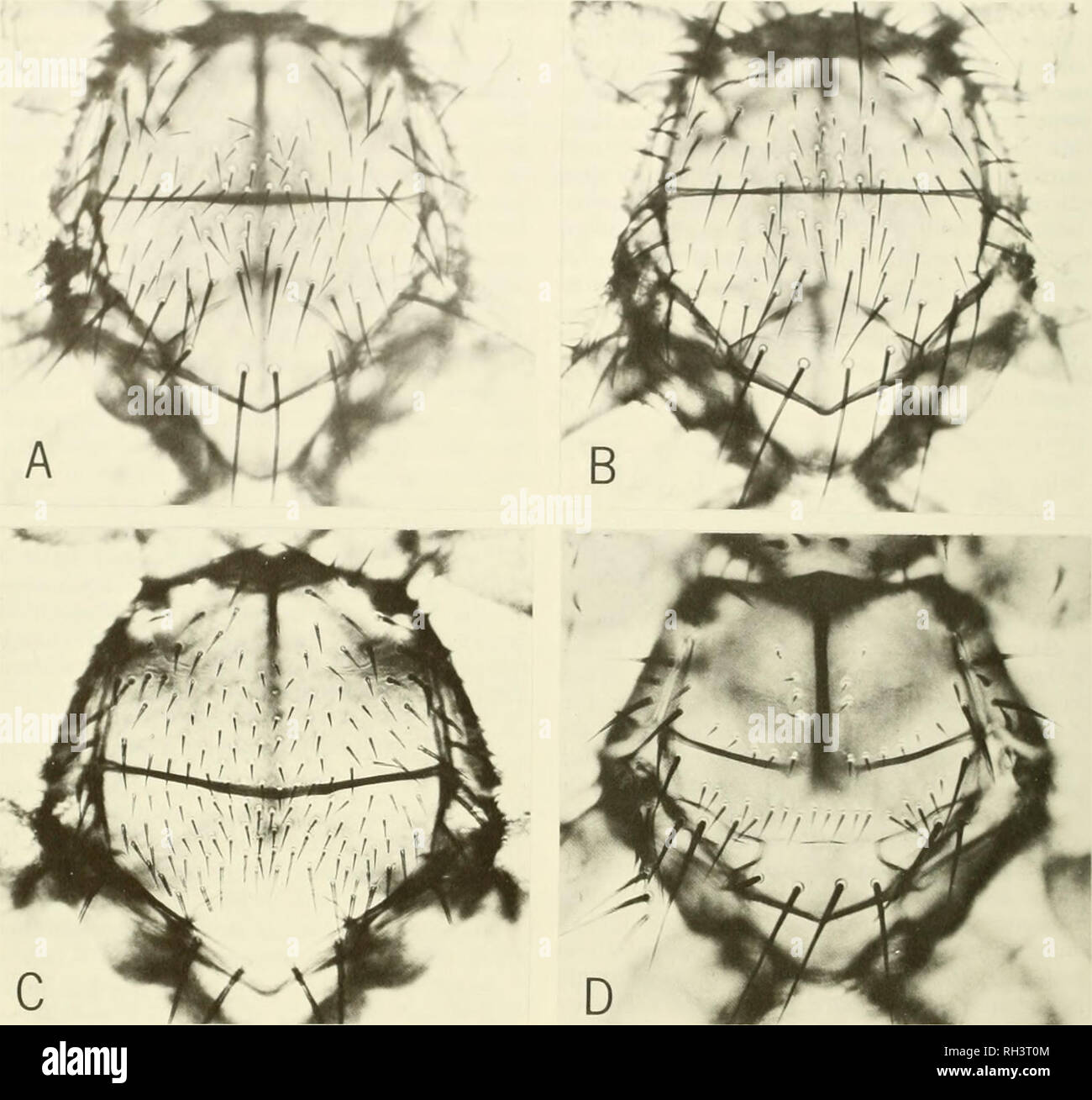. Brigham Young University science bulletin. Biology -- Periodicals. 78 ...
