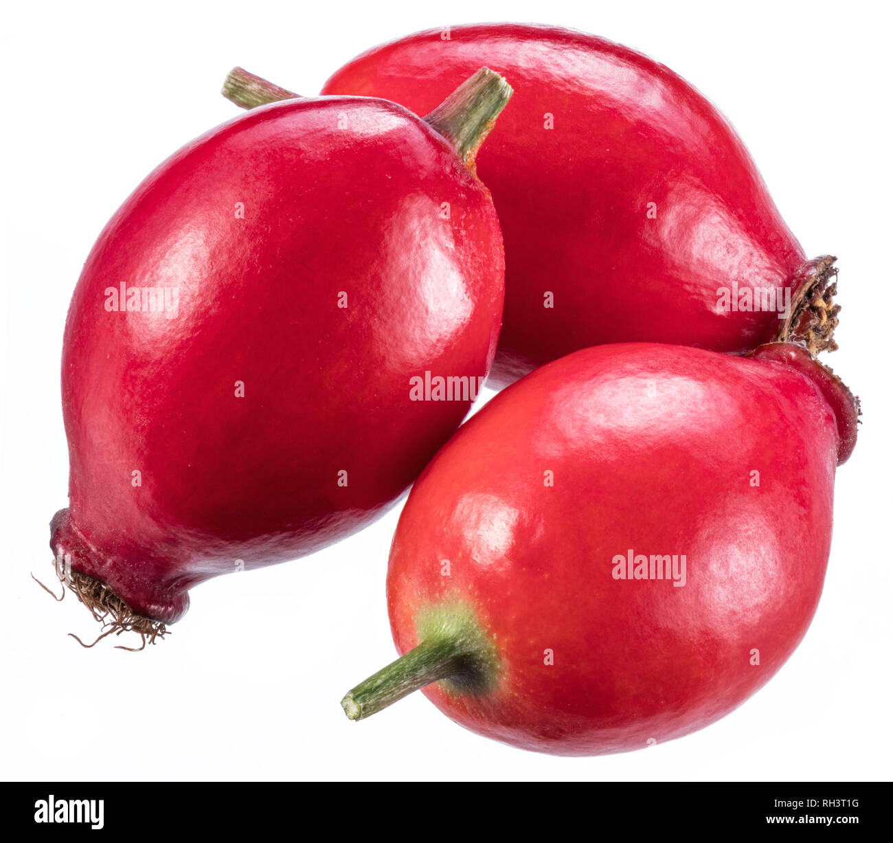 Wild rose berries hi-res stock photography and images - Alamy