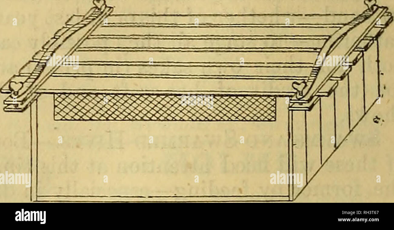 . British bee journal & bee-keepers adviser. Bees. sketch, to clamp six ...