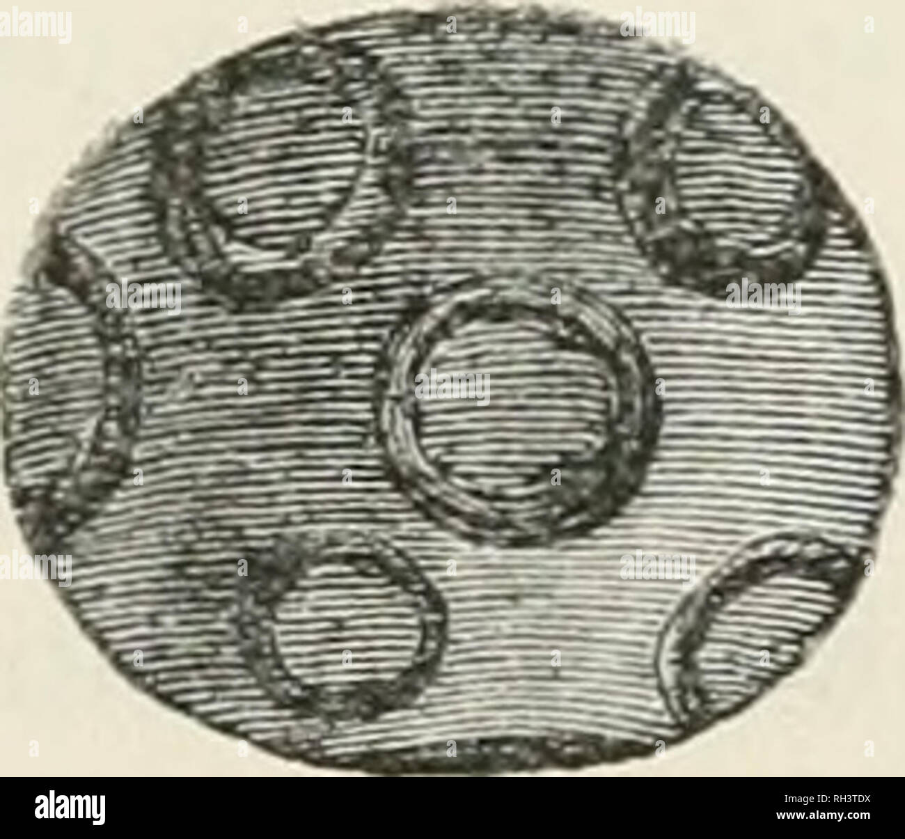 Small triangular fragment hi-res stock photography and images - Alamy