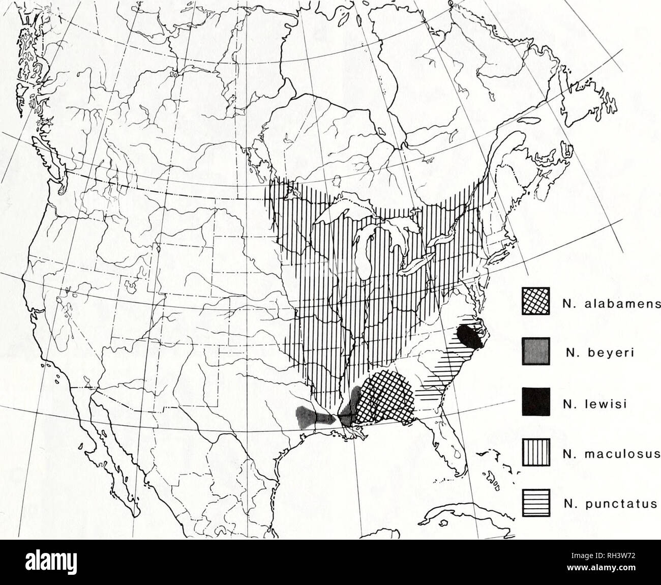 . Brimleyana. Zoology; Ecology; Natural history. Necturus Chromosome ...