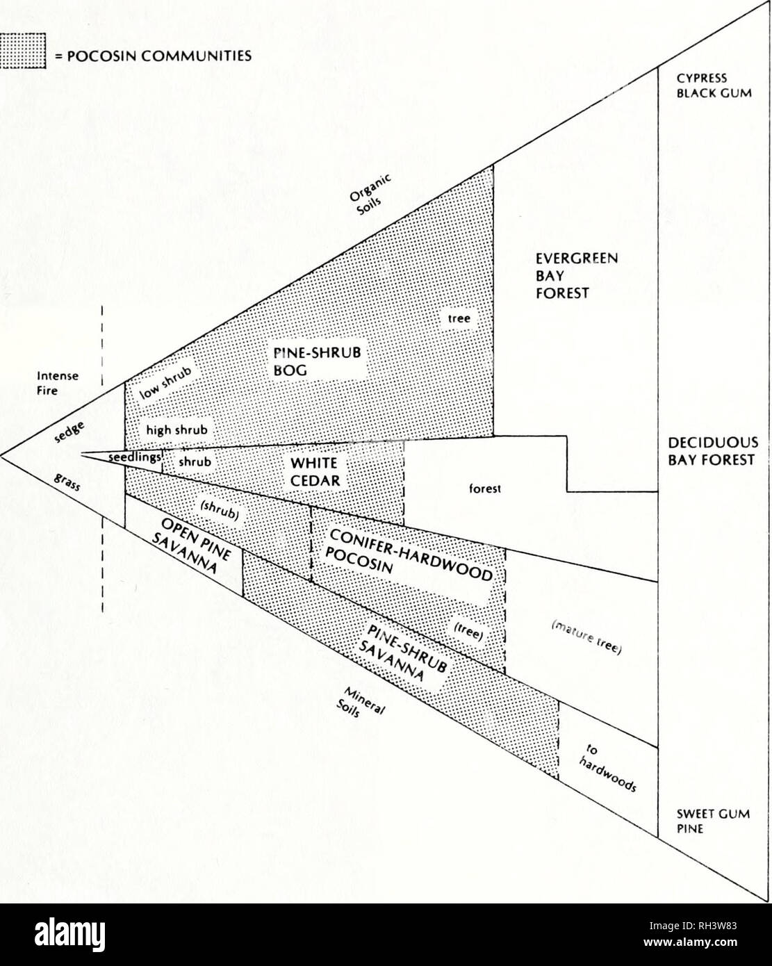 Pocosins hi-res stock photography and images - Alamy