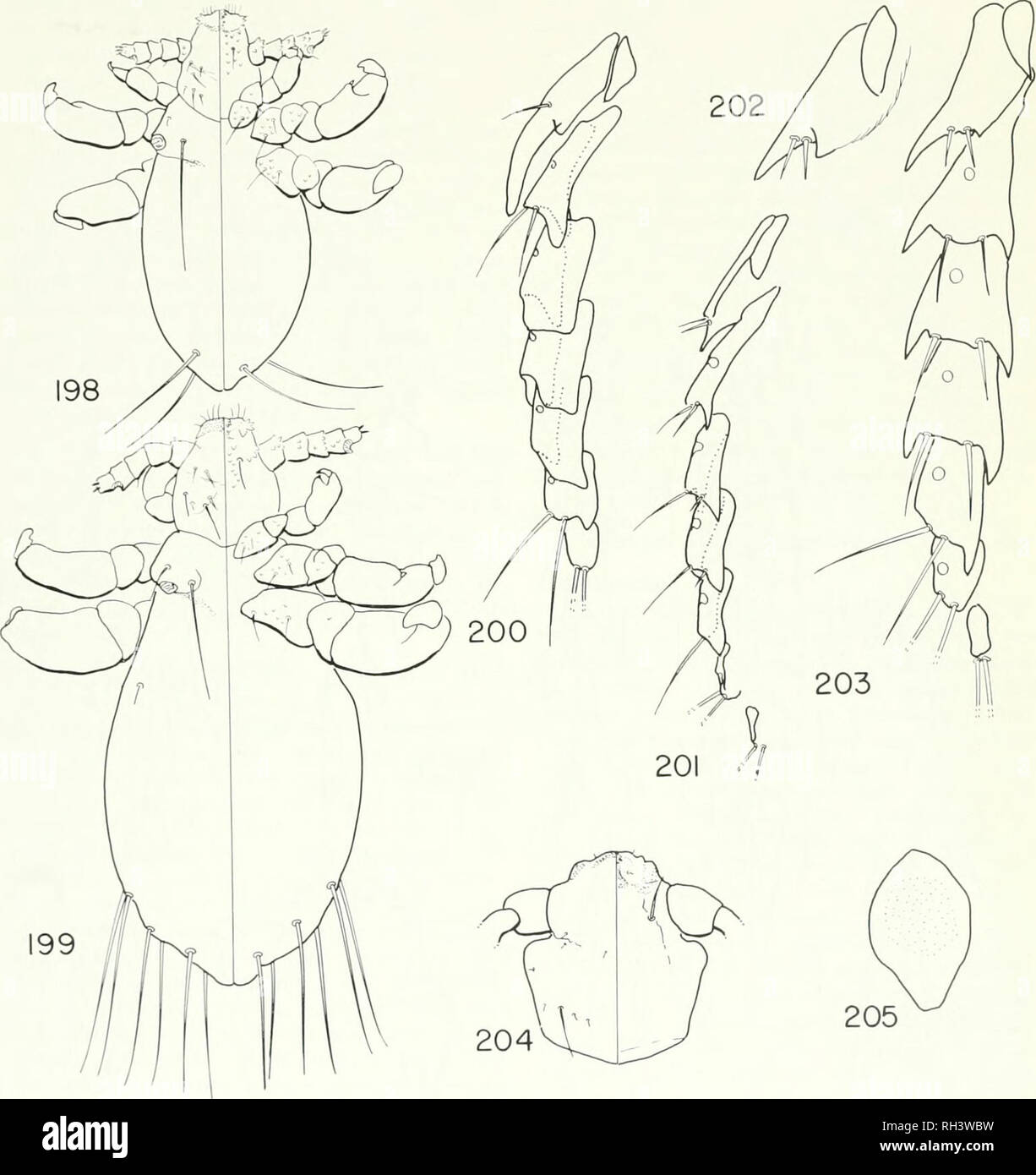 Hioi hi-res stock photography and images - Alamy