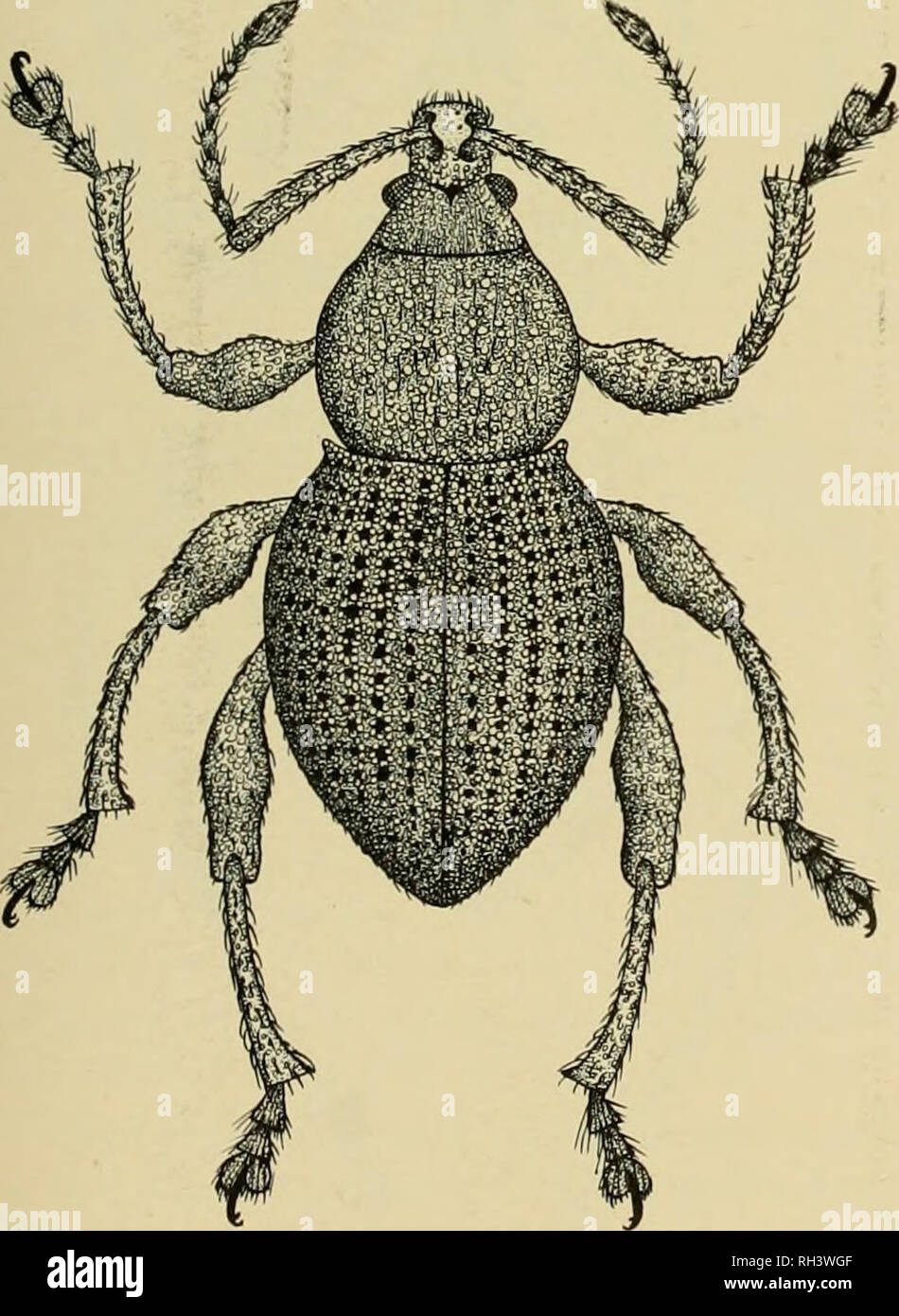 . Brigham Young University science bulletin. Biology -- Periodicals ...