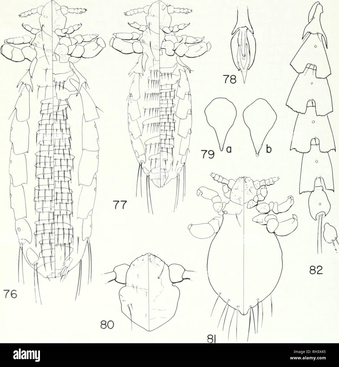 . Brigham Young University science bulletin. Biology -- Periodicals. 24 ...