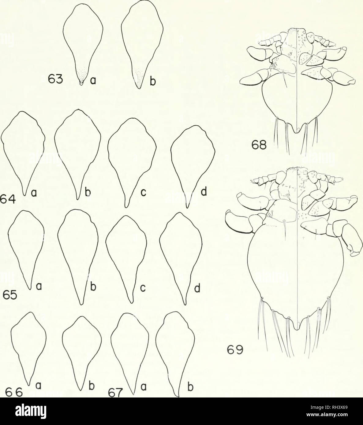 . Brigham Young University science bulletin. Biology -- Periodicals ...