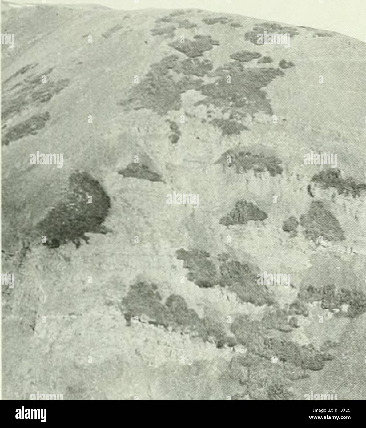 6500 feet elevation hi-res stock photography and images - Alamy