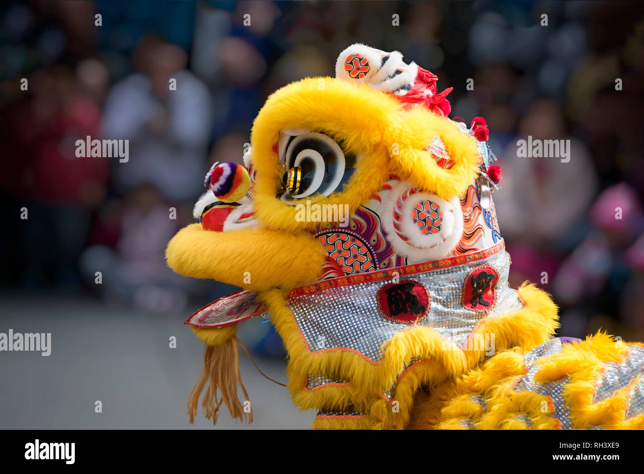 Chinese lion dance costume close up with people in background Stock ...