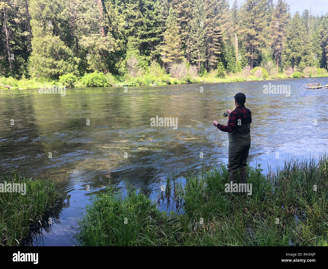 Metolius River Oregon Fly Fishing Trip with Fisherman Casting Stock ...