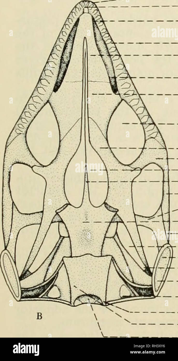 . Brigham Young University science bulletin. Biology -- Periodicals ...