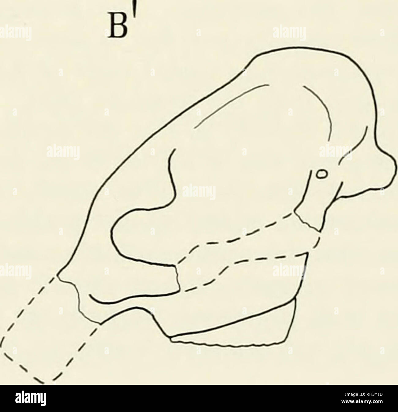 Number 1051 hi-res stock photography and images - Alamy