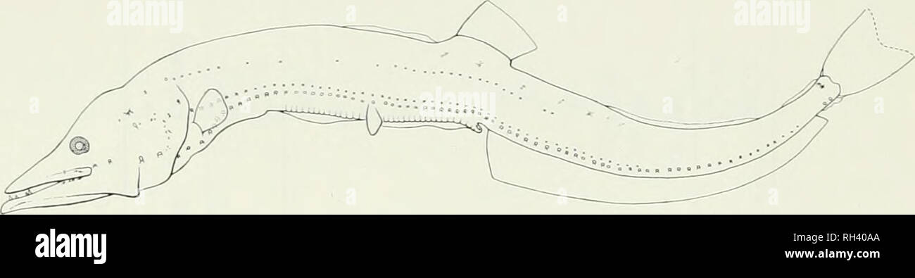 1986 ac hi-res stock photography and images - Alamy