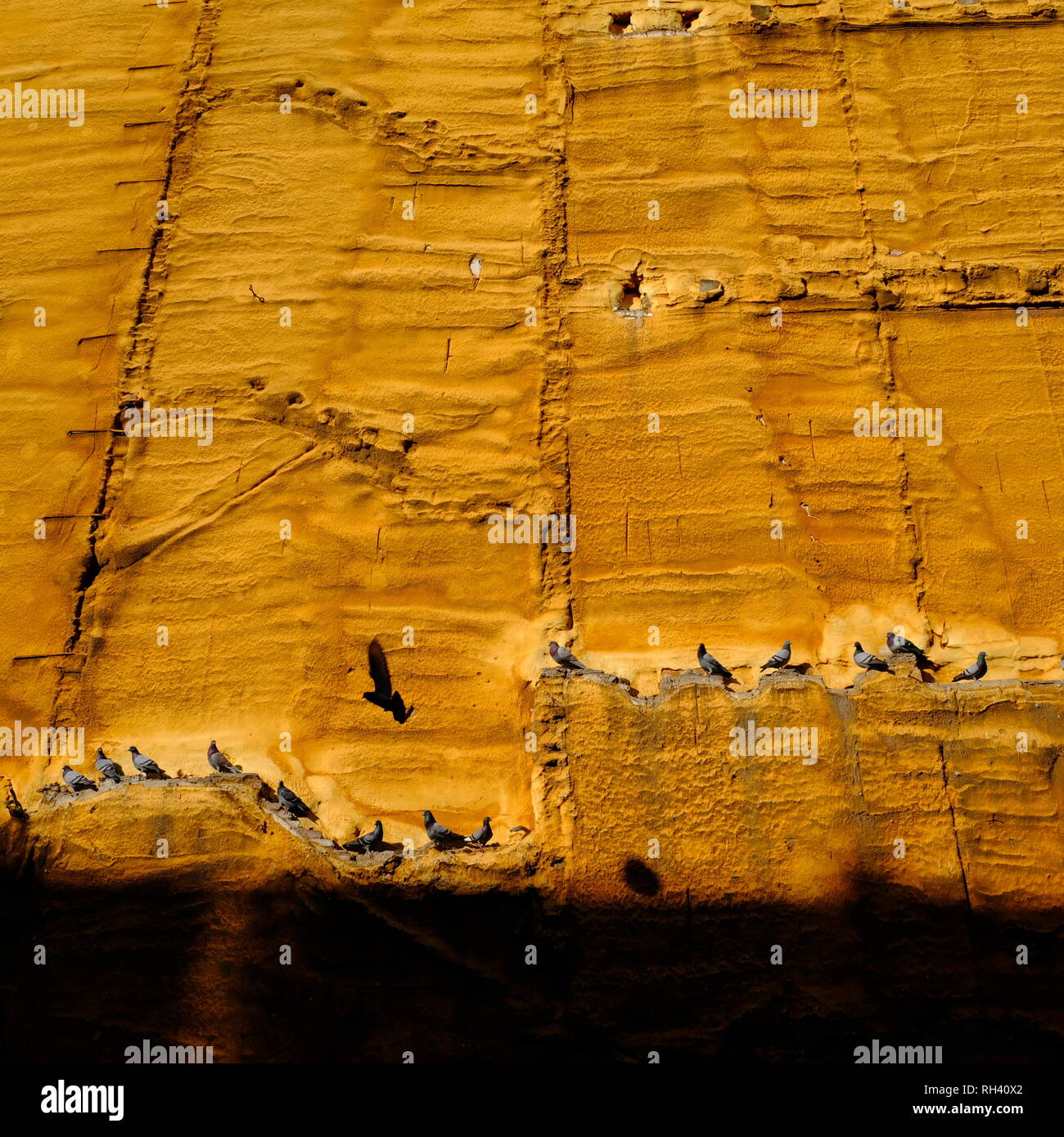 Plaster rendered walls hi-res stock photography and images - Alamy