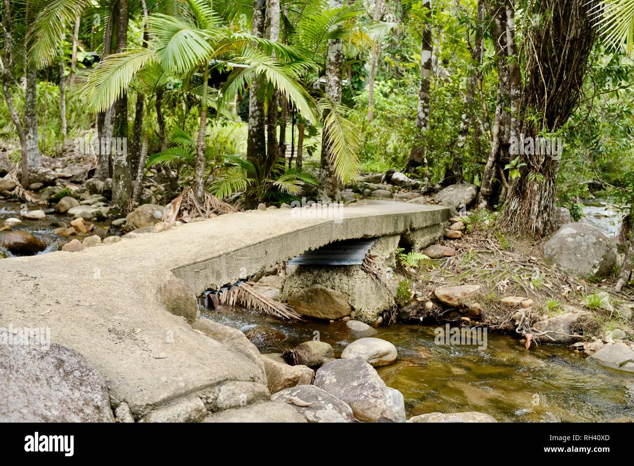 A small bridge crossing a cool running water in a tropical stream ...