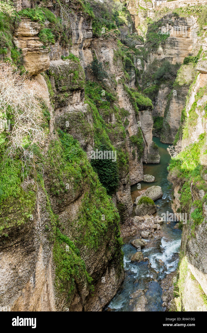 View of the canyon or Tajo de Ronda with the Guadalevín River between ...