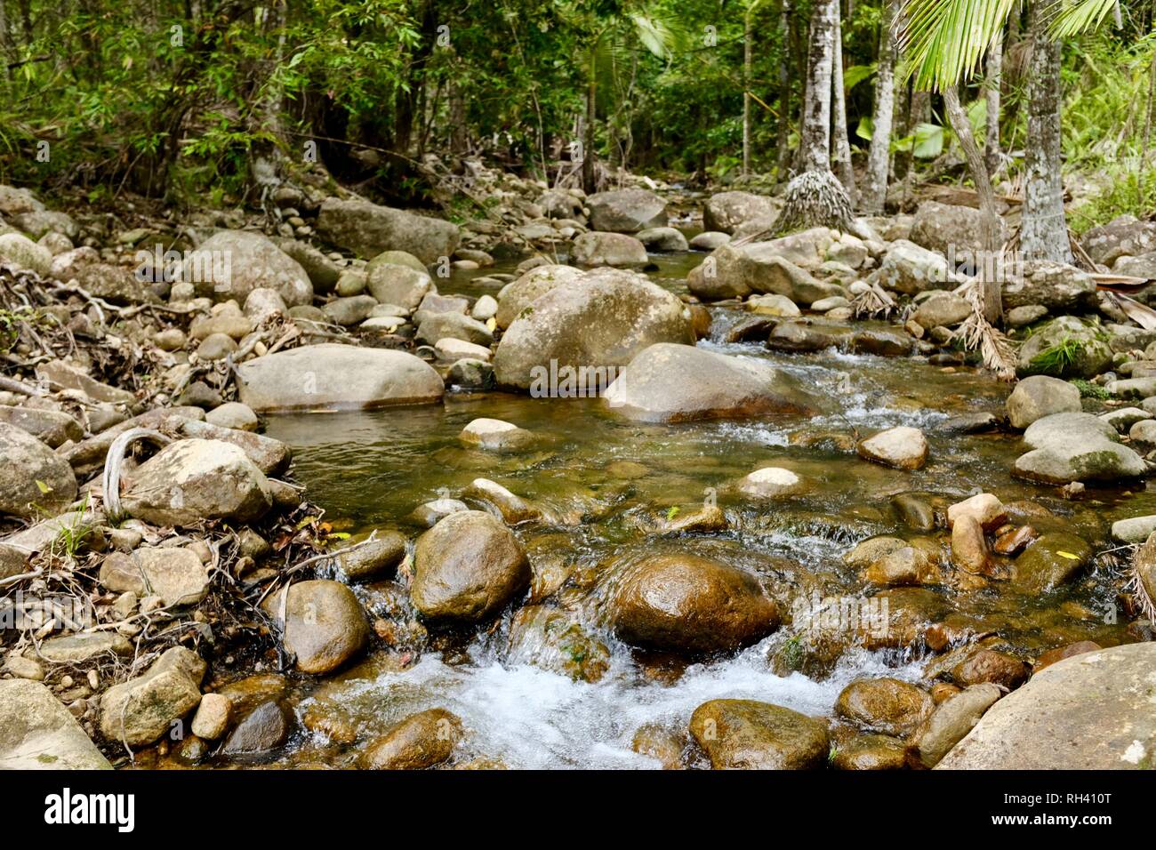 Cool running water in a tropical stream, Finch Hatton, Queensland 4756 ...