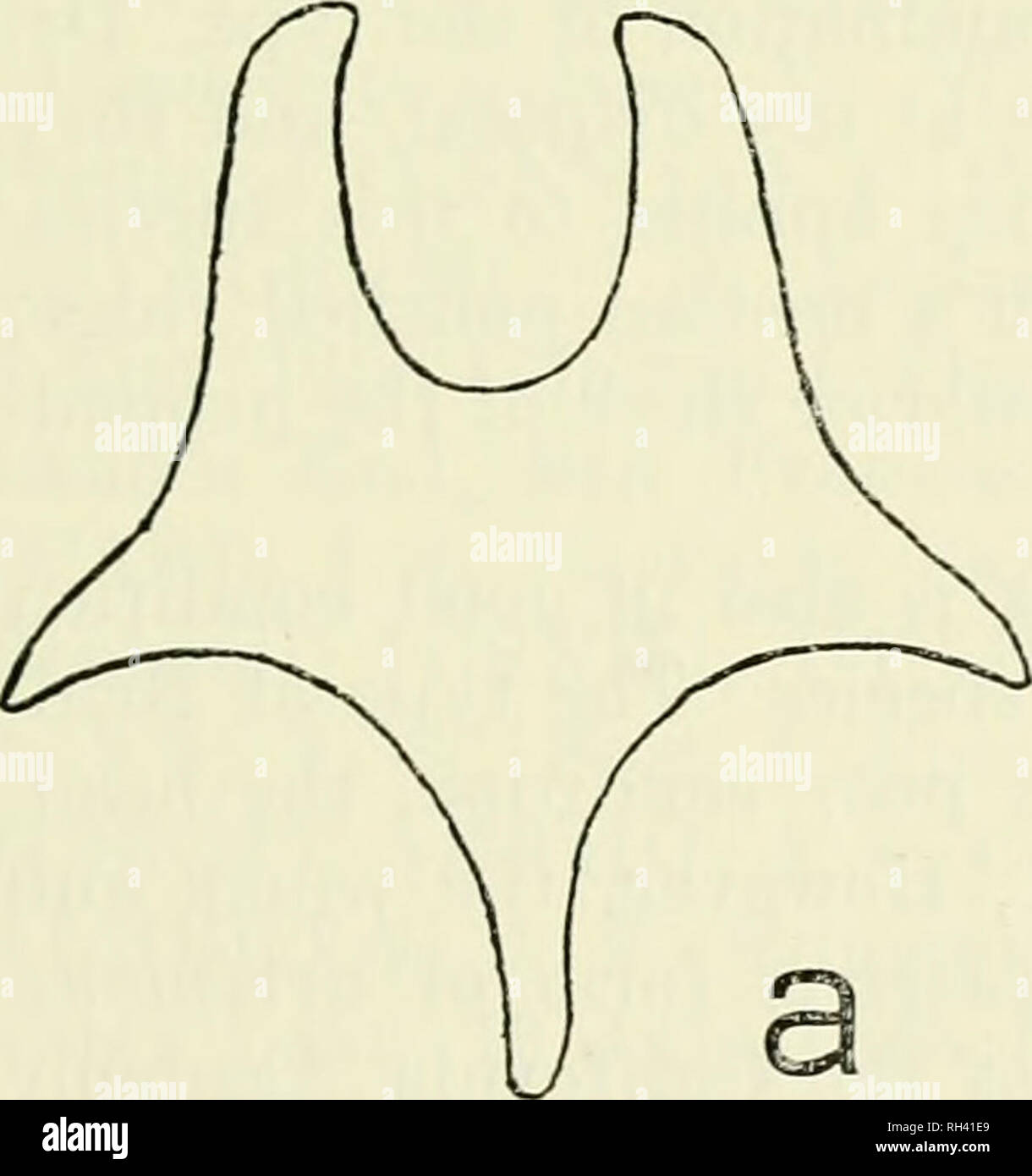 Strongly convex disc hi-res stock photography and images - Alamy