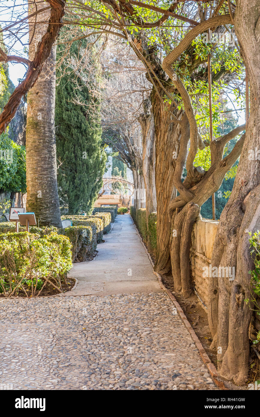 Beautiful garden with a stone sidewalk with trees on the sides, bushes ...