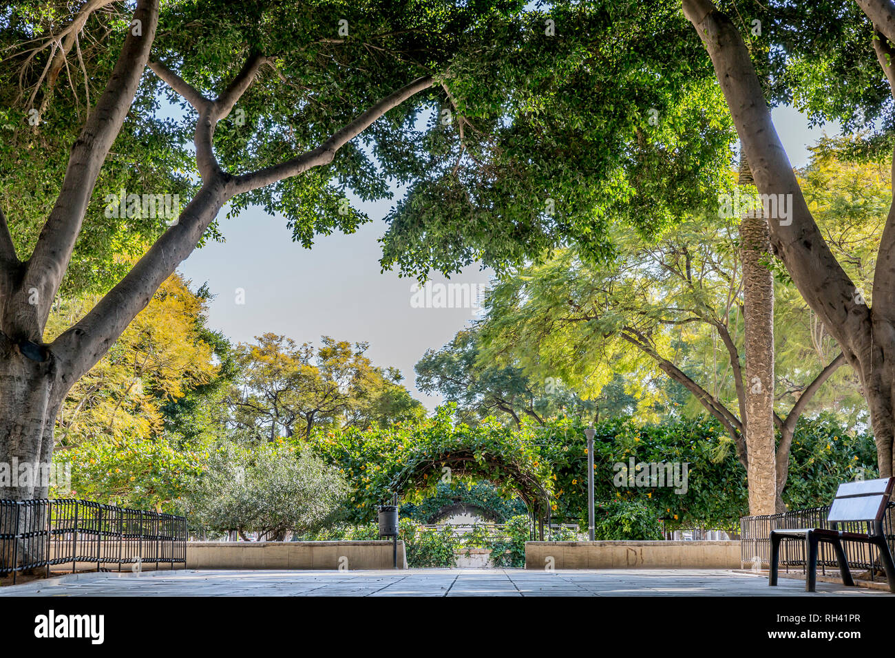 Square Shaped Trees High Resolution Stock Photography and Images - Alamy