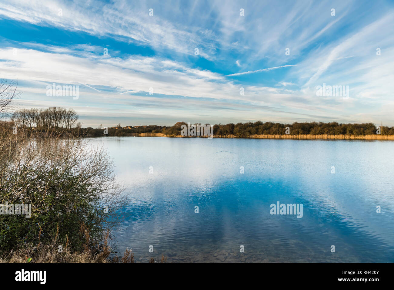 Eye Green Local Nature Reserve, Peterborough, Cambridgeshire, England ...
